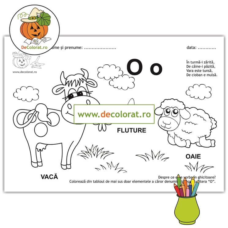 Litera si sunetul O - fișă de lucru cu ghicitoare (oaie) | DeColorat.ro