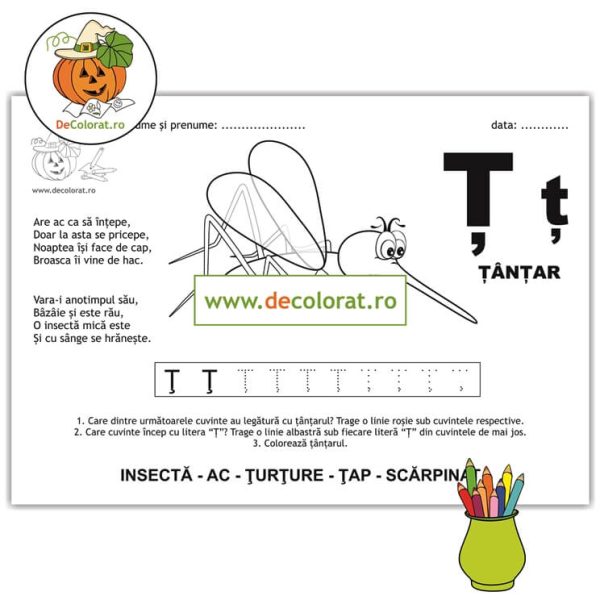 Litera Ț - fișă de lucru cu ghicitoare (țestoasă) | DeColorat.ro