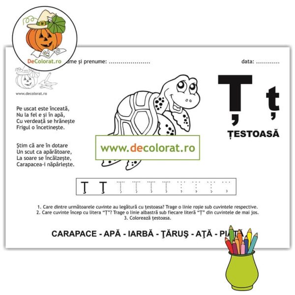 Litera Ț - fișă de lucru cu ghicitoare (țânțar) | DeColorat.ro