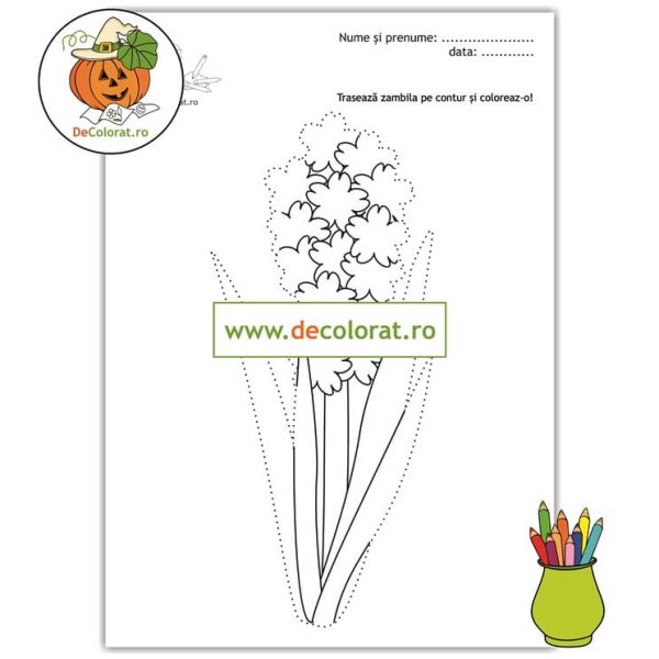 Planșă de colorat - Vază cu flori de primăvară | DeColorat.ro