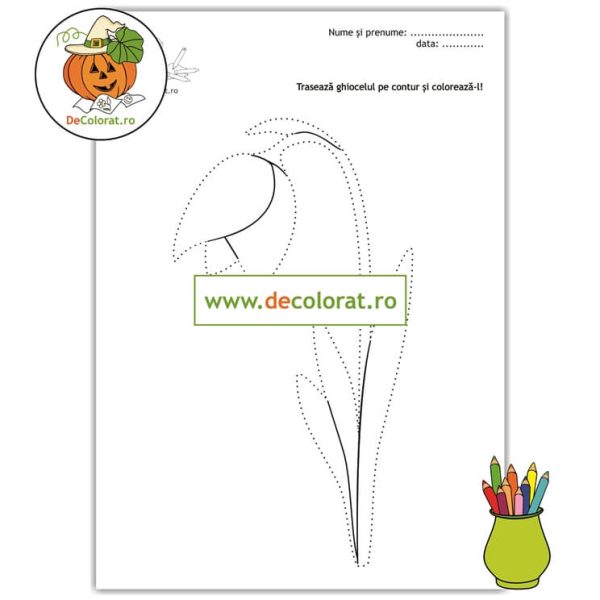 Fișă de lucru cu elemente grafice cu flori | Decolorat.ro