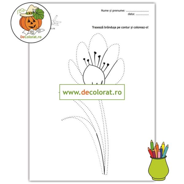 Planșă de colorat - Vază cu flori de primăvară | DeColorat.ro