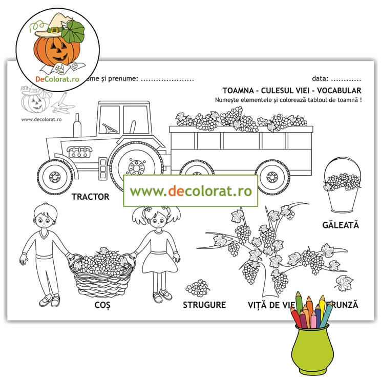 Vocabular de toamnă - fișă de lucru cu fructe | DeColorat.ro