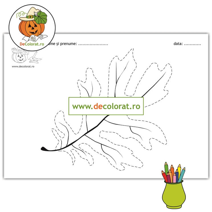 Frunza de plop - fișă de trasare și de colorat | Decolorat.ro