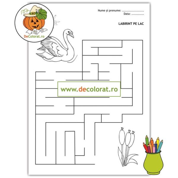 Fișa de lucru cu harta României și drapelul național | Decolorat.ro