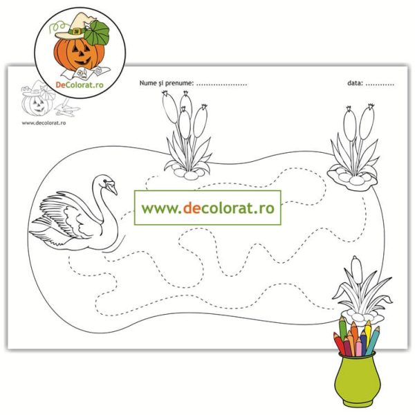 Animale sălbatice din pădure - planșă de colorat | Decolorat.ro