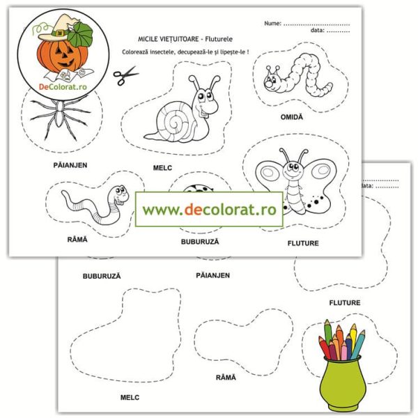 Insectele - melcul - fișă de lucru cu linii punctate de colorat